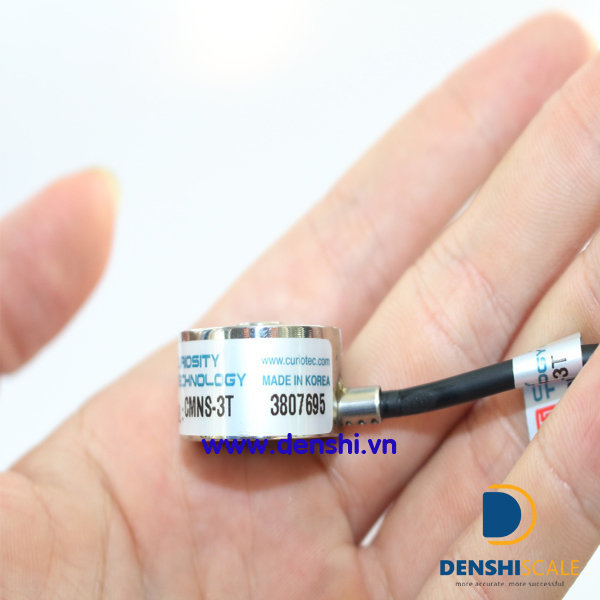 Cân điện tử DENSHIVN