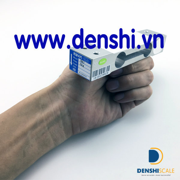 Cân điện tử DENSHIVN